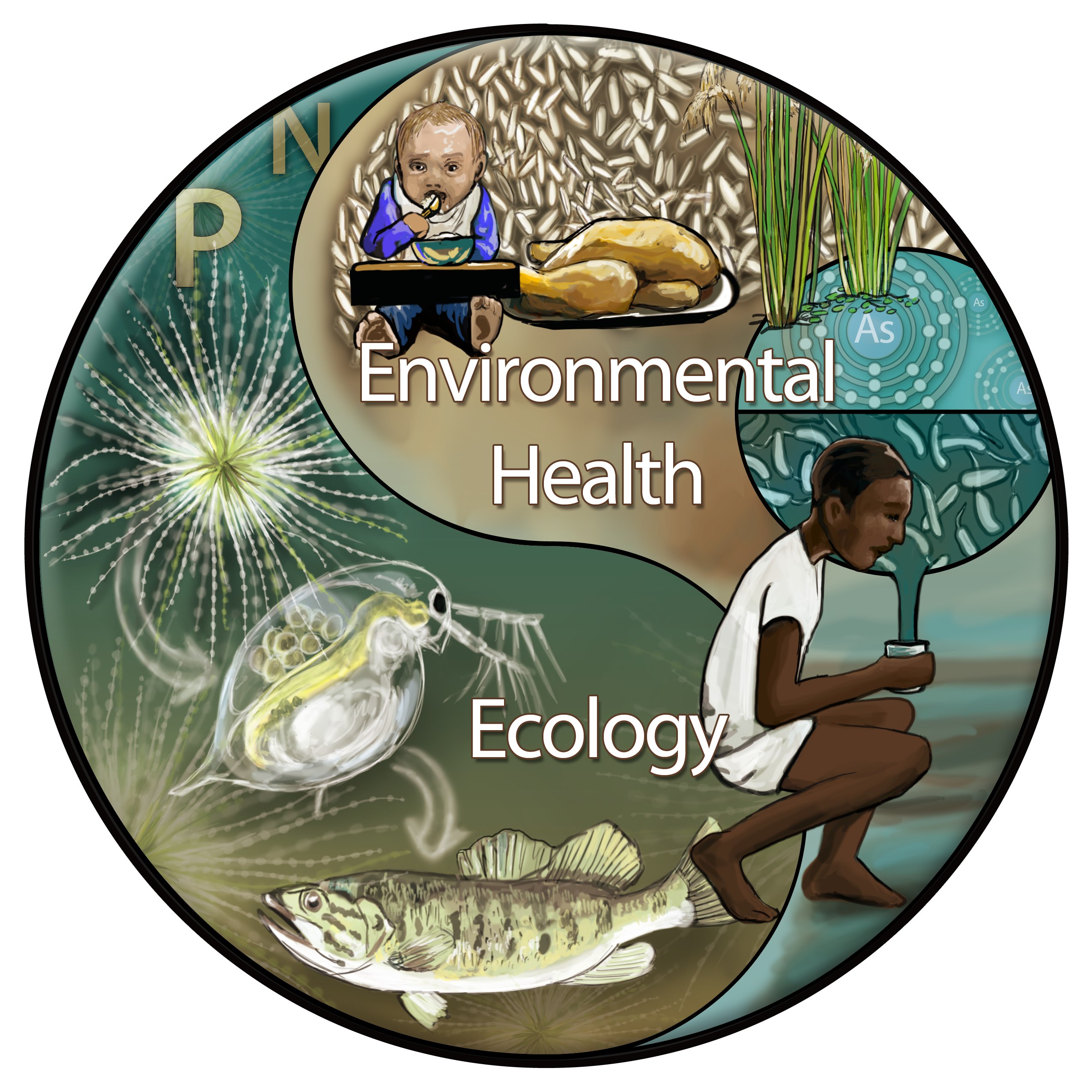 Pharma college E-learning